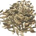Ice Queen Zinnia Seed - Etsy