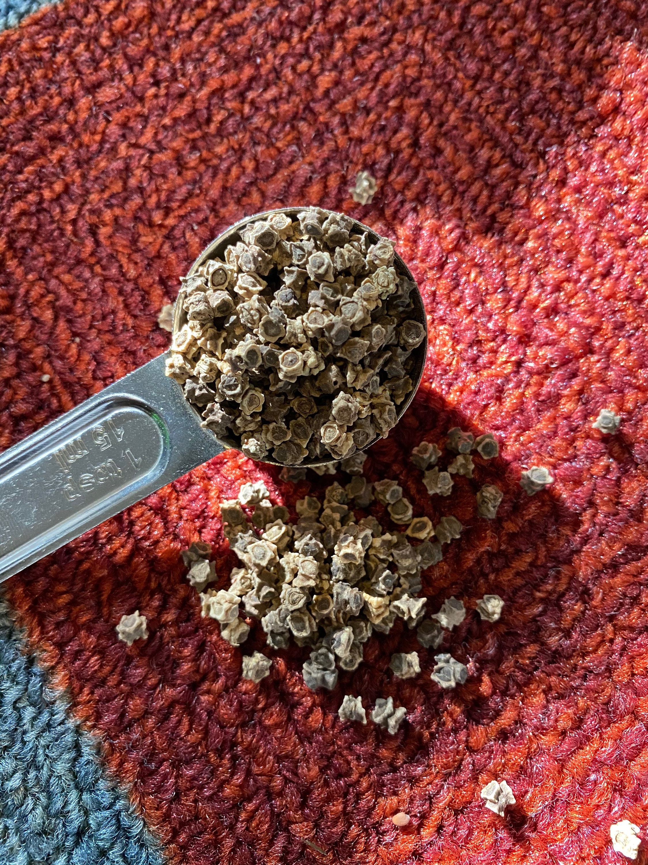 Swiss Chard “ruby Red” Seeds - Etsy