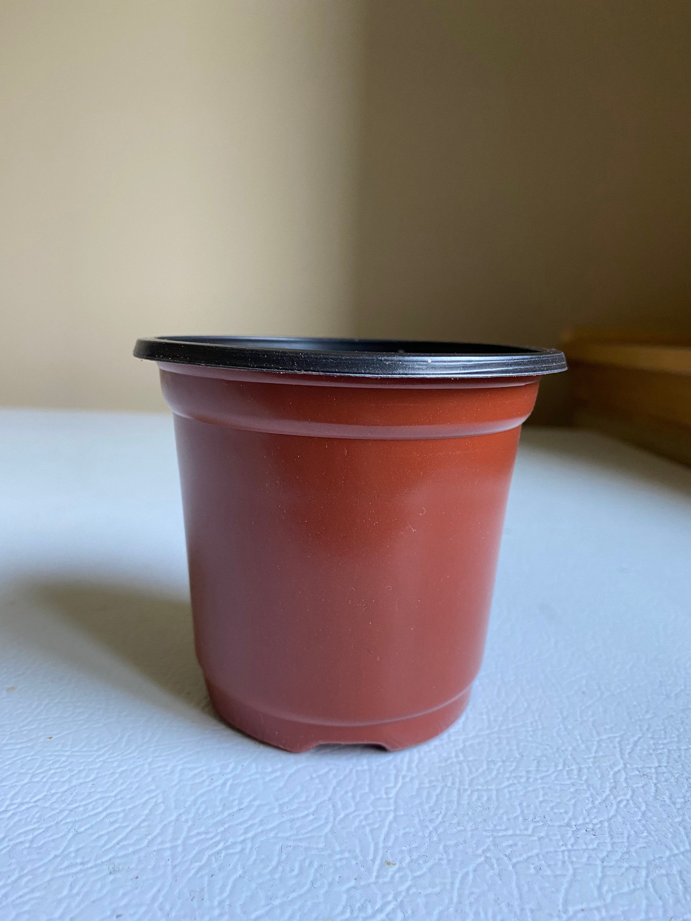 Plastic Grow Pots 4 4.4inch / 2.5 Inch Square Black Nursery | Etsy