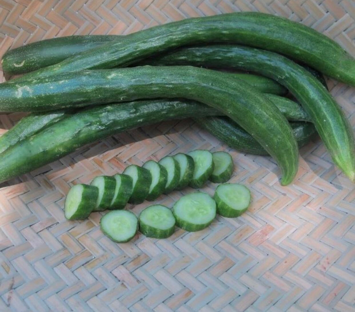 Yamato Sanjaku Cucumber Seeds japanese Long Cucumber Seeds | Etsy