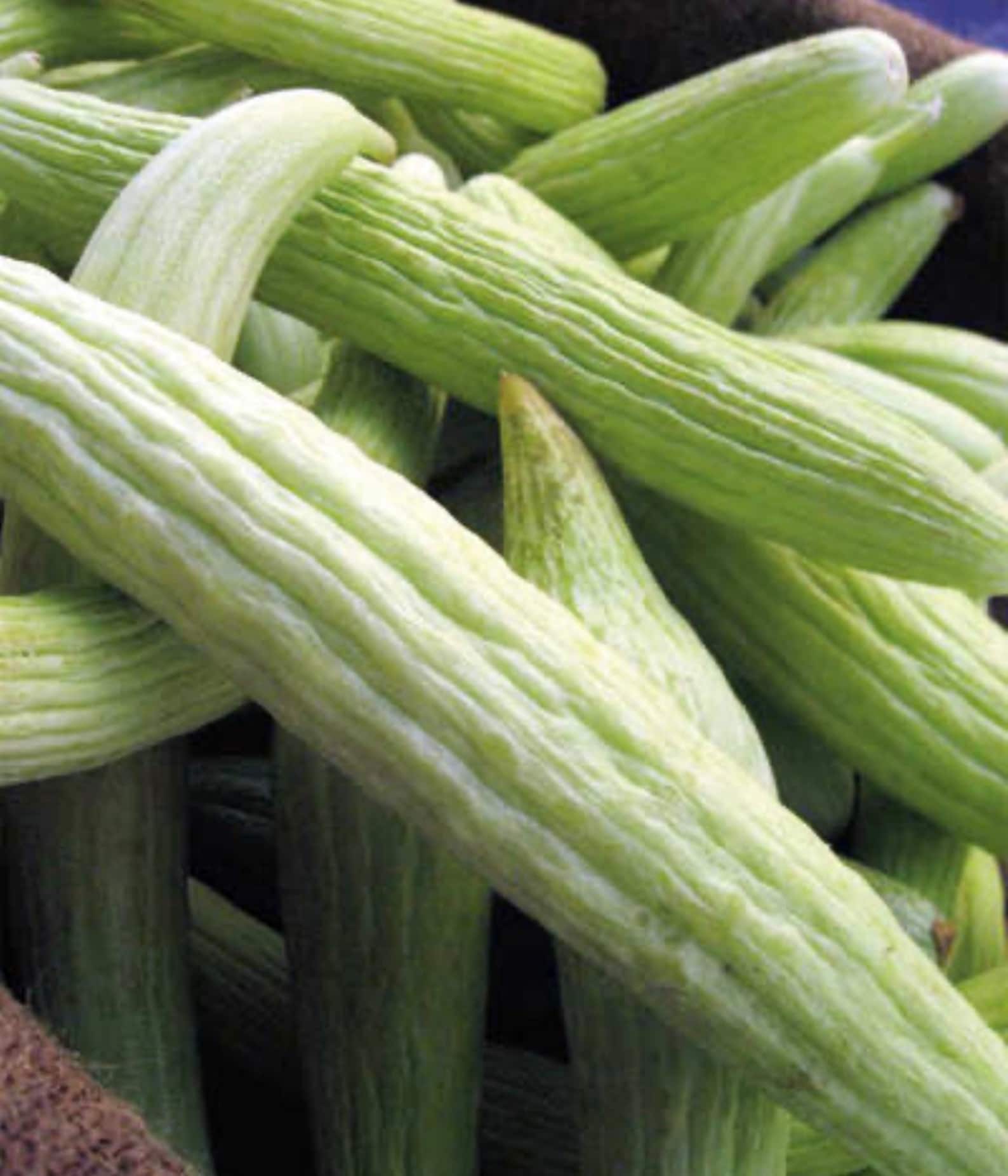 Armenian Yard-long Cucumber Seed - Etsy