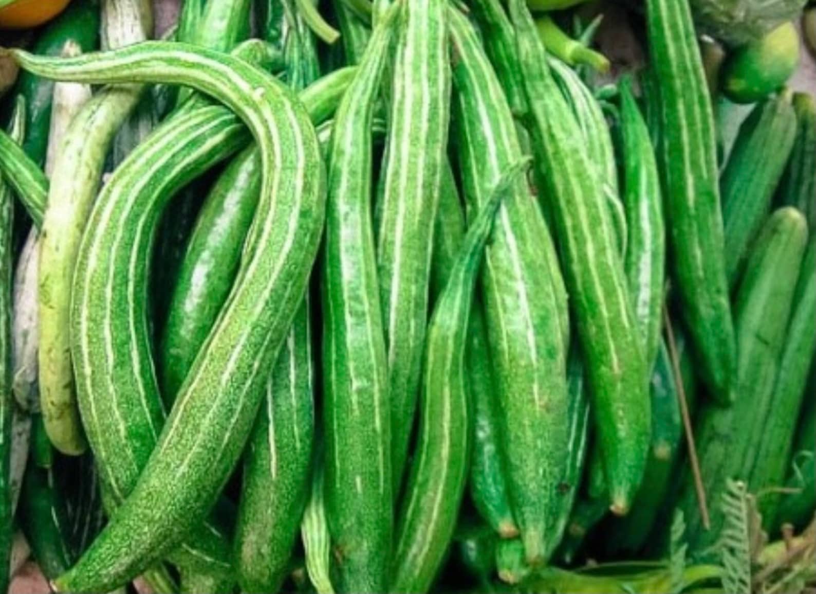 Snake Gourd Seeds (asian Vegetable) Buag Ngu,or Naga , Asian Vegetable ...