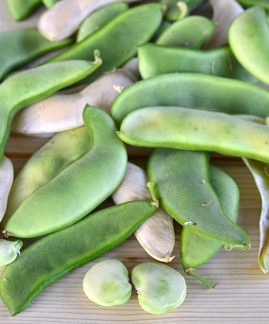 Henderson Bush Lima Bean Seeds - Etsy
