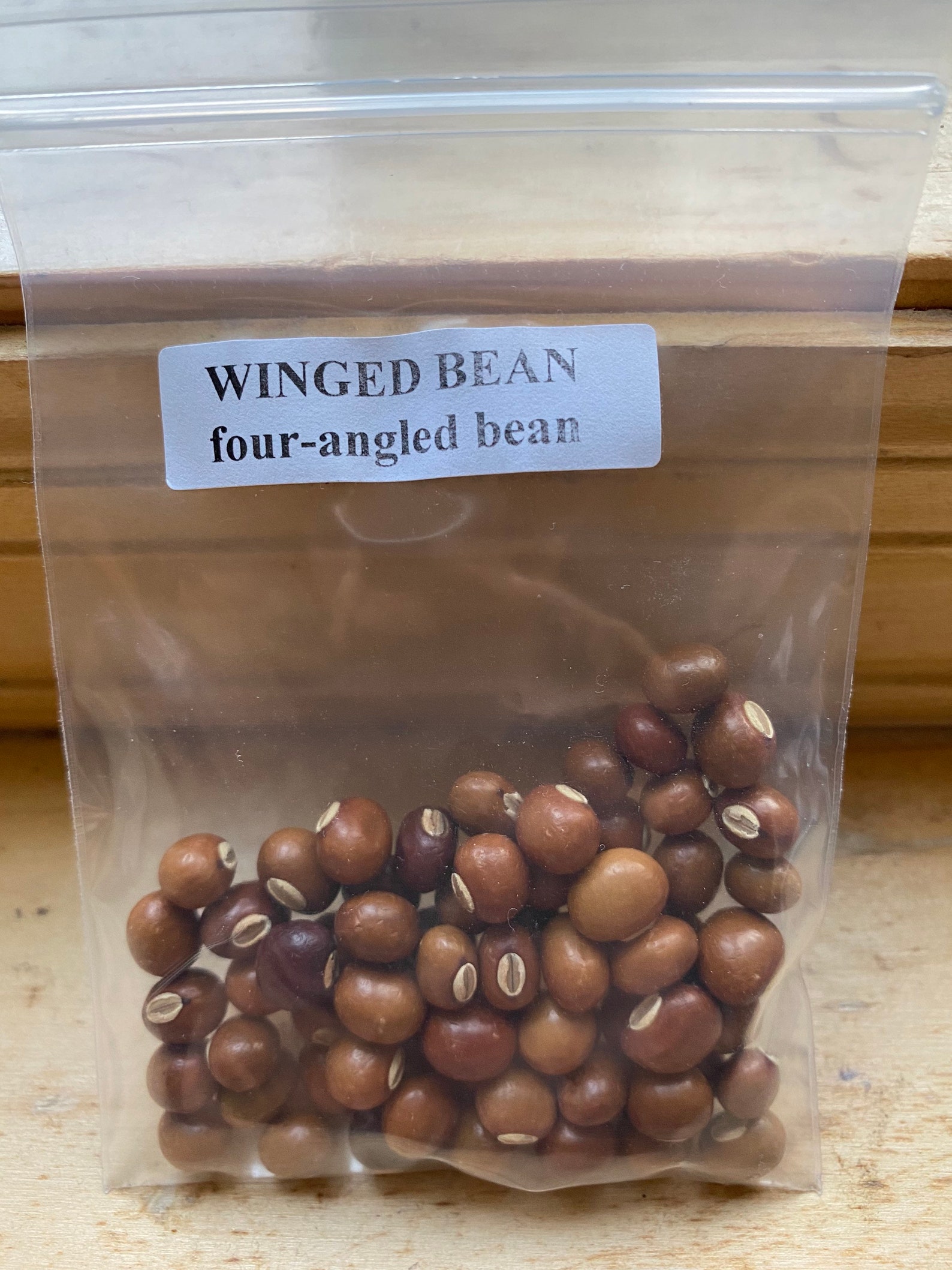 Winged Bean Seeds Asian Psophocarpus Tetragonolobus Bonsai - Etsy