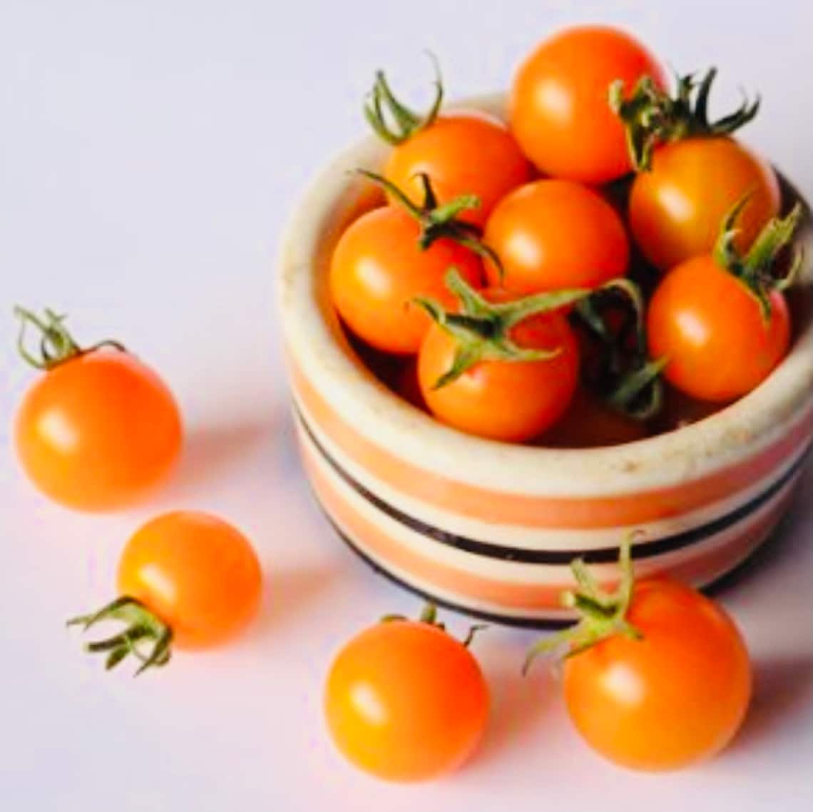 Cherry Orange Tomato Seeds - Etsy