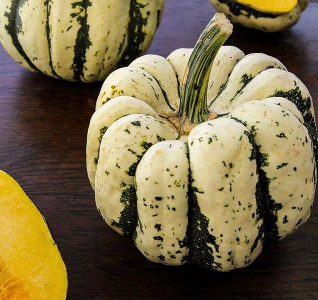 Sweet Dumpling Winter Squash Seeds - Etsy