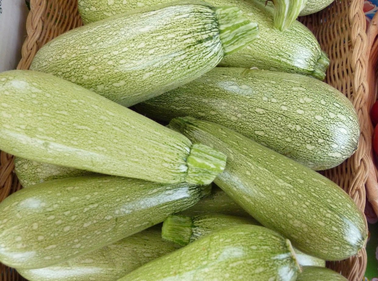 Gray Zucchini Summer Squash Seeds - Etsy
