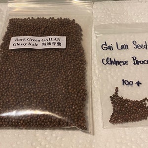 Gai Lan Seeds (chinese Broccoli) - Etsy