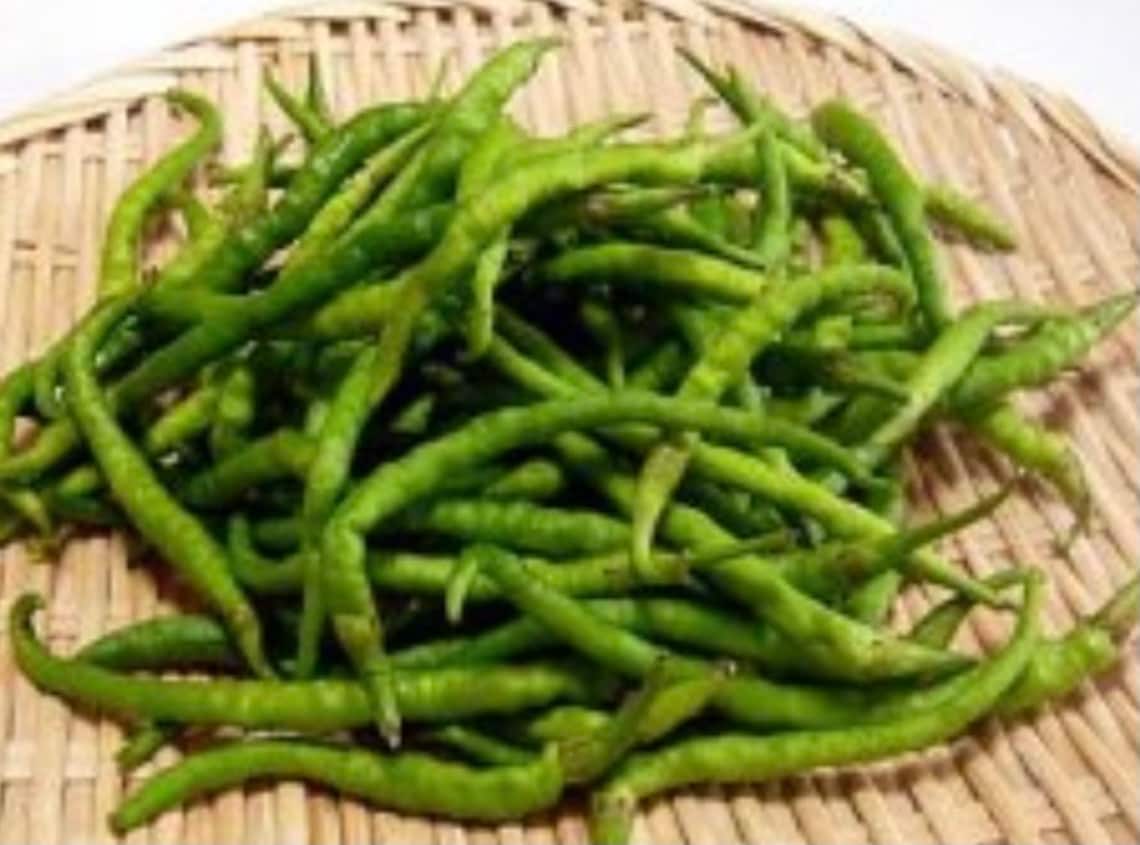 Himo Togarashi Japanese Pepper Seeds 10 Seeds - Etsy