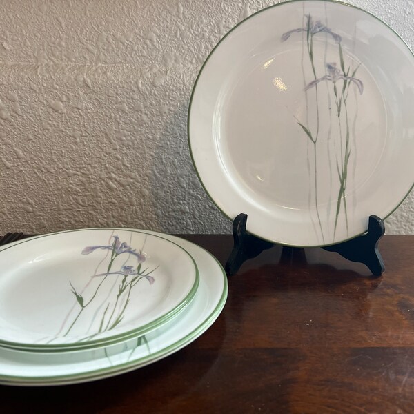 Iris Plates - Etsy
