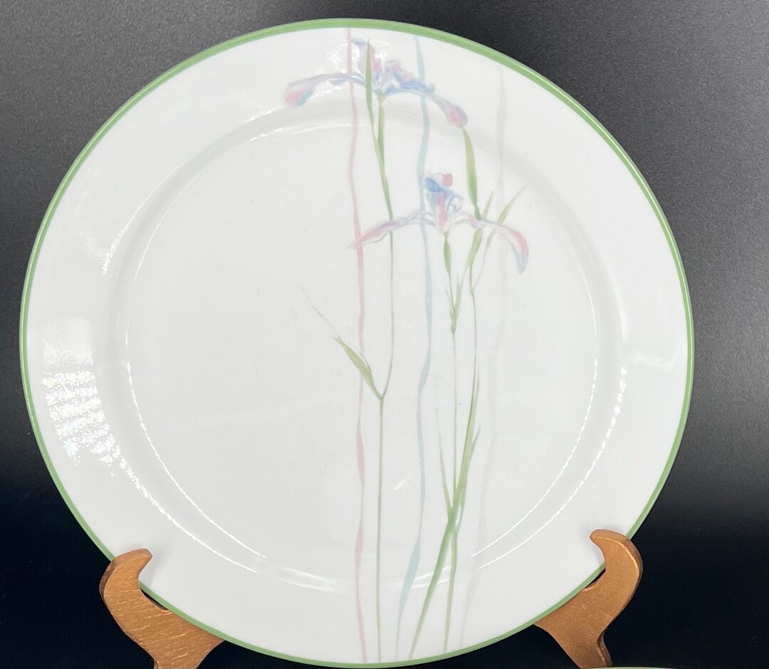 Corelle, Shadow Iris, 4 Dinner Plates - Etsy