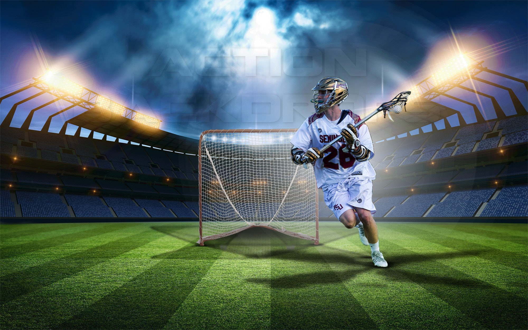 Lacrosse Goal Backgrounds