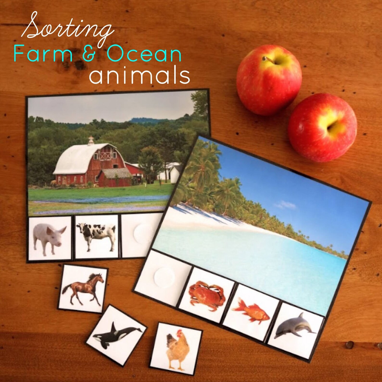 Farm Theme Cognitive Activity BUNDLE | Etsy