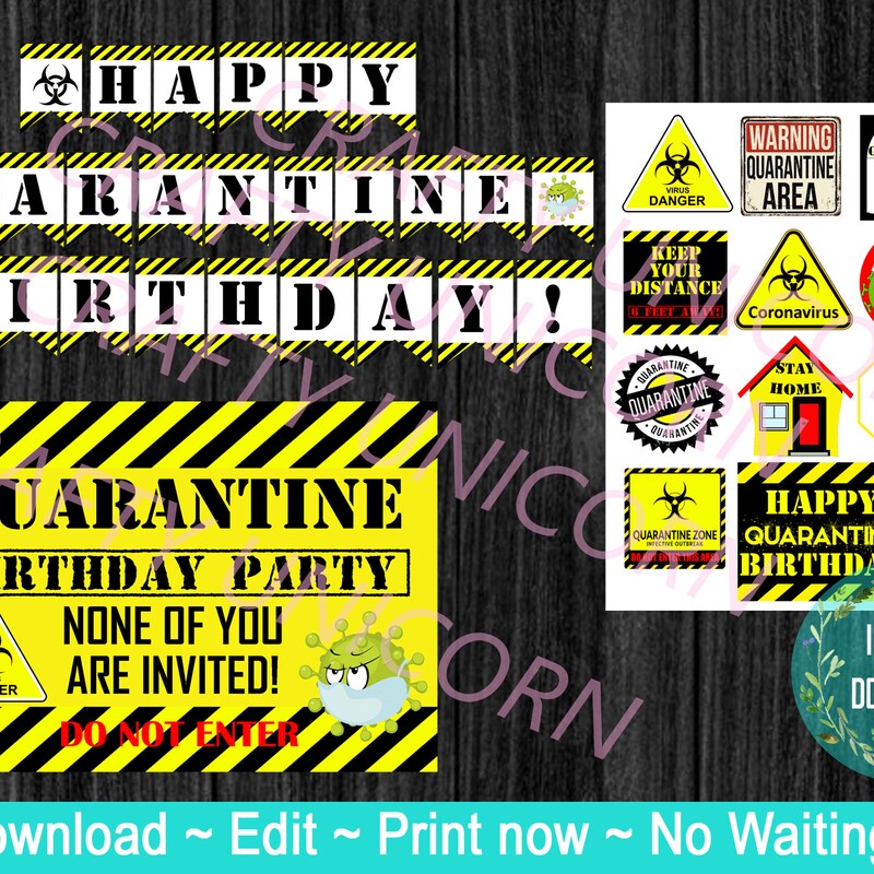 Quarantine Birthday - Etsy