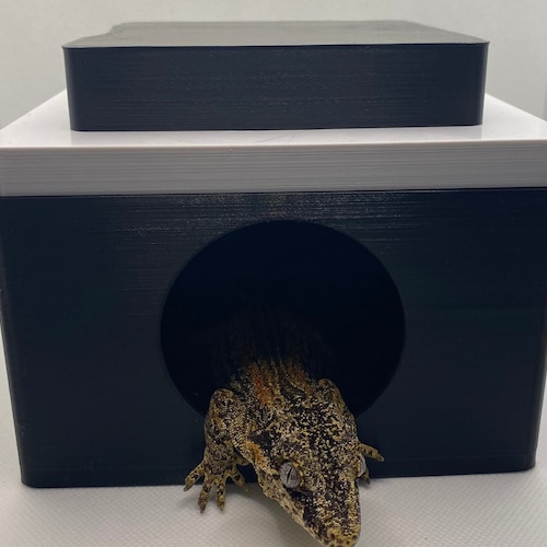 Leopard Gecko Moist Hide / Lay Box - Etsy