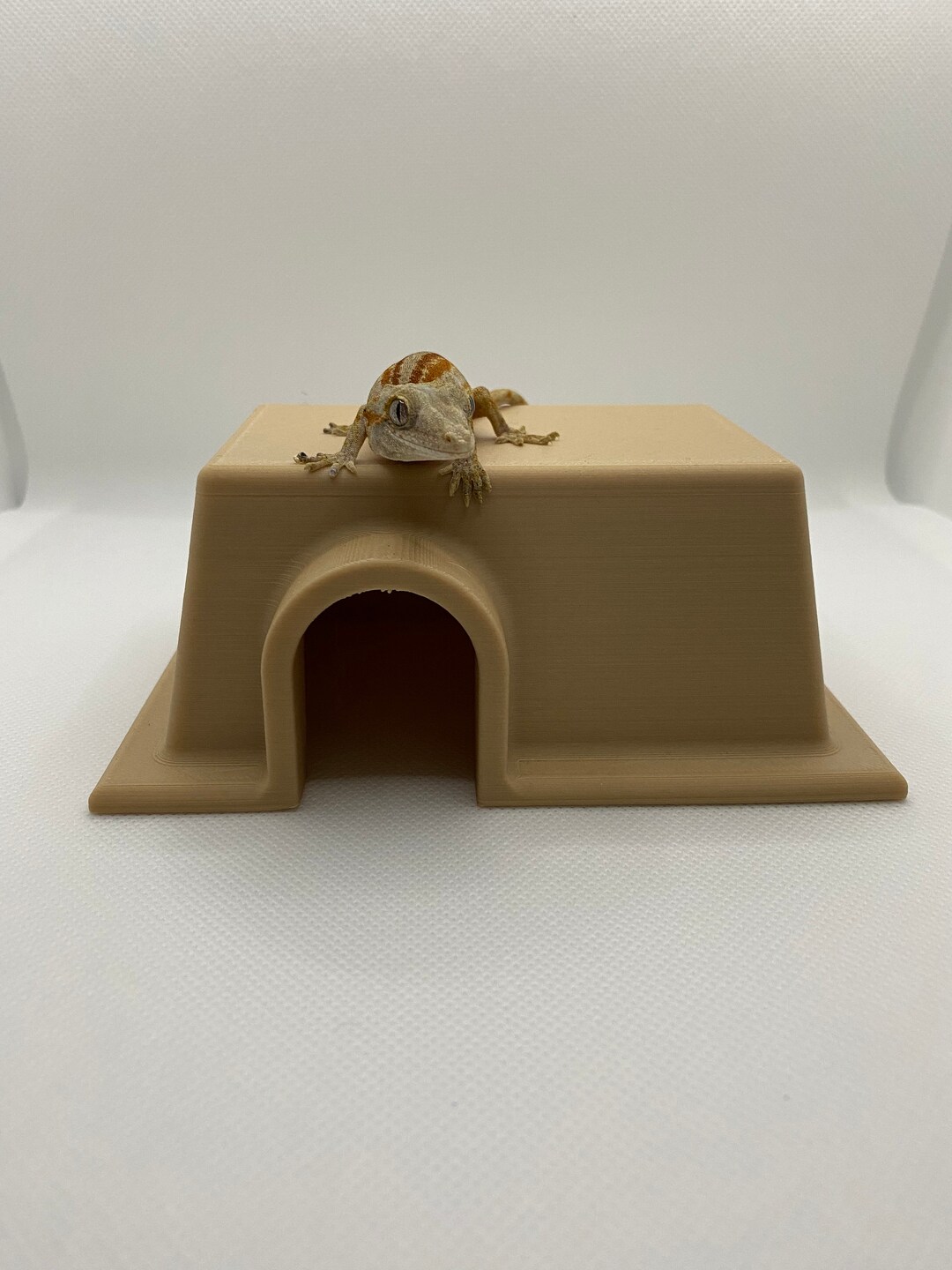 Reptile/small Animal Hide - Etsy