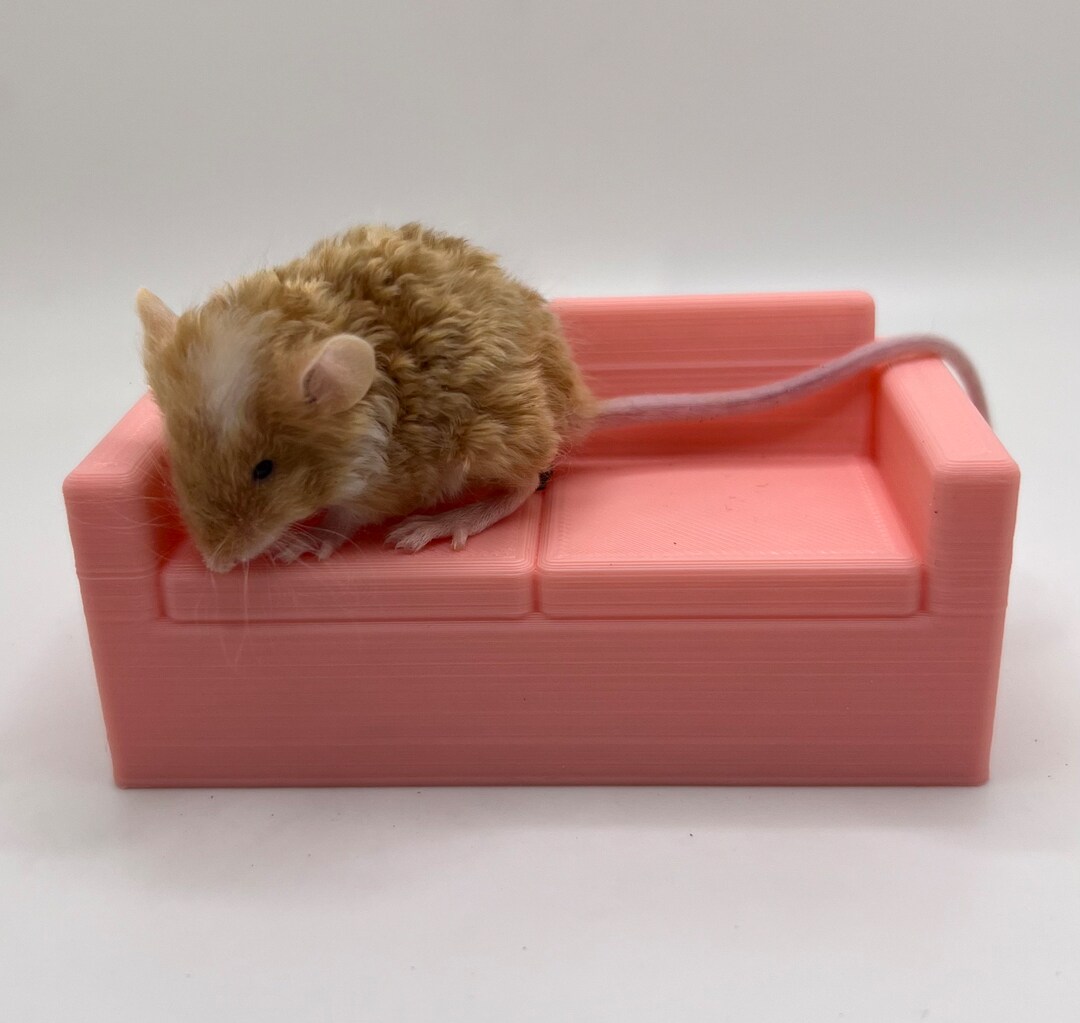 Reptile/small Animal Mini Couch - Etsy