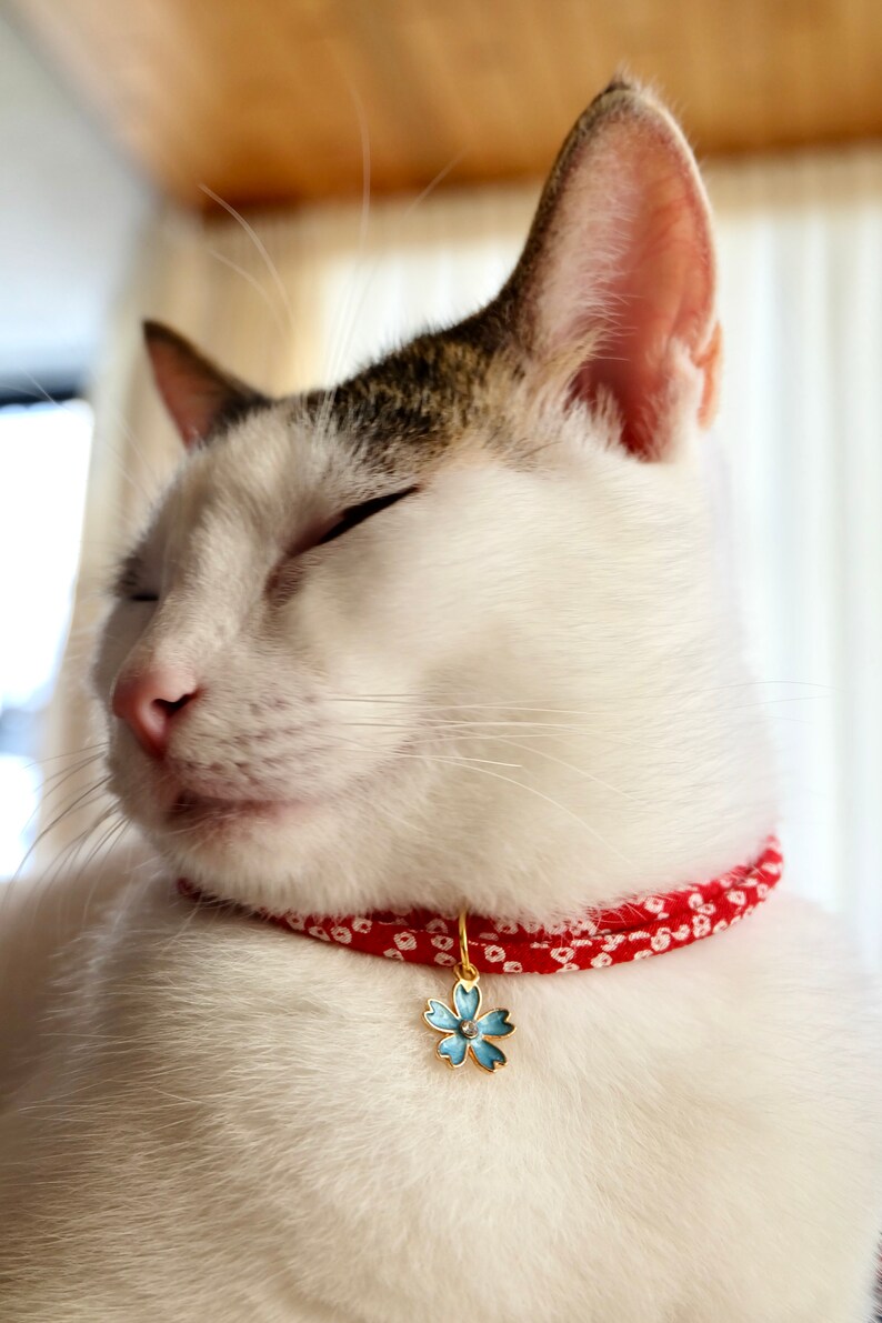 Hand Made Japanese Style Collar for Cat (4mm) /kitten, Adjustable Super ...