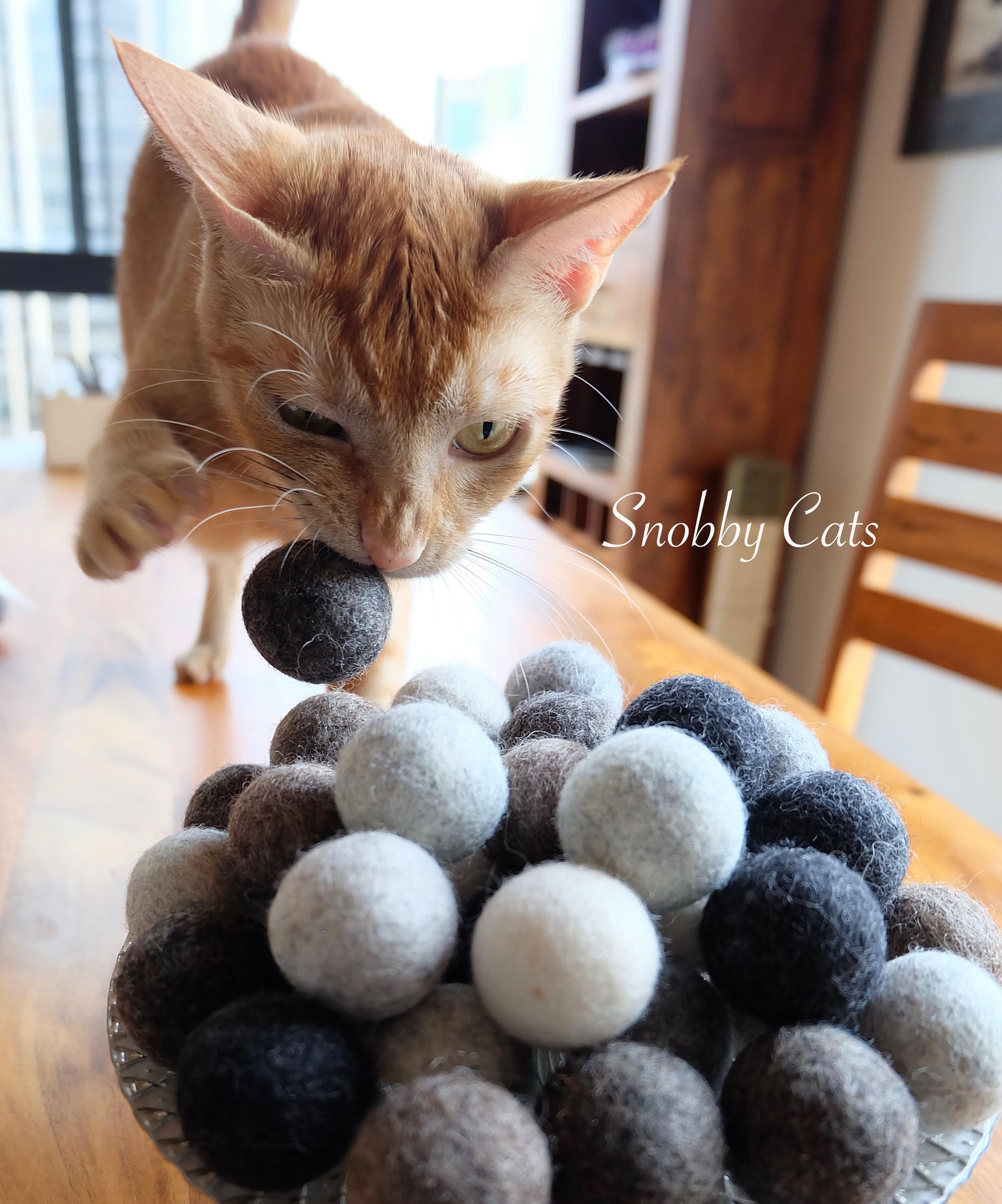 100% Natural Color Wool Cat Ball Cat Toy 6 X 3cm Wool Felt - Etsy