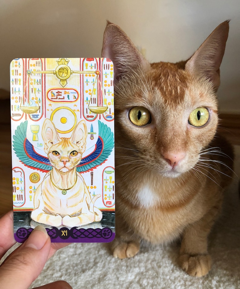 Tarot of Pagan Cats Full Size Deckborderless Edition | Etsy