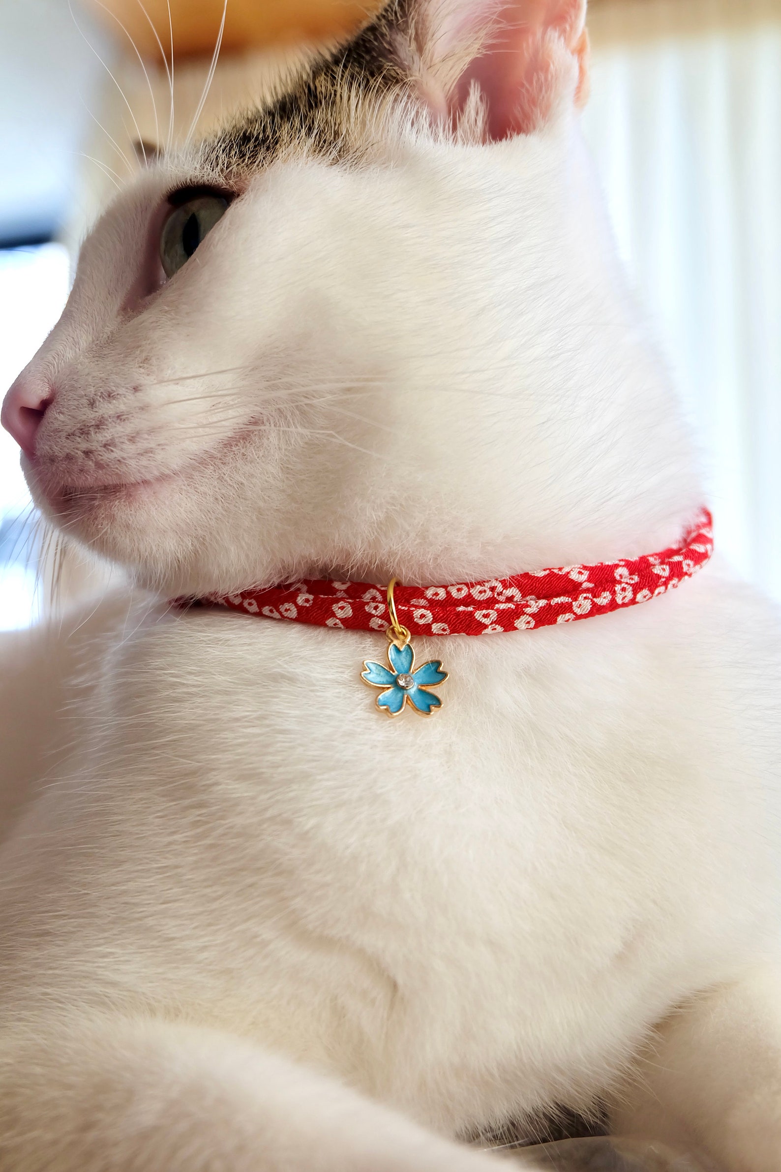 Hand Made Japanese Style Collar With Charm for Cat 4mm / | Etsy