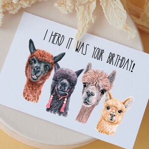 Printable Cute and Funny Alpaca Inspired Printable Birthday Card, Llama ...