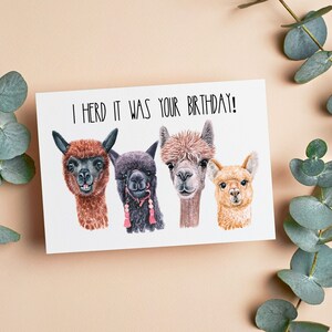 Printable Cute and Funny Alpaca Inspired Printable Birthday Card, Llama ...