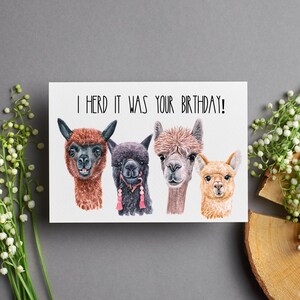 Printable Cute and Funny Alpaca Inspired Printable Birthday Card, Llama ...