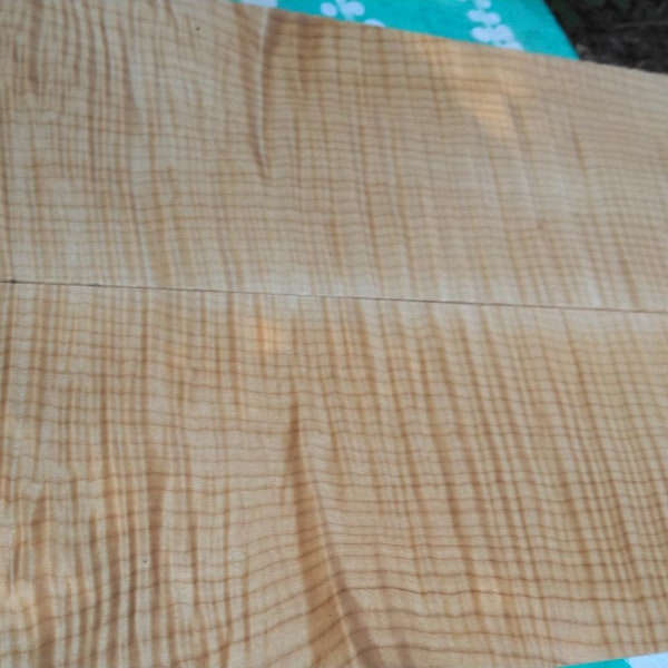 Fiddleback Maple - Etsy