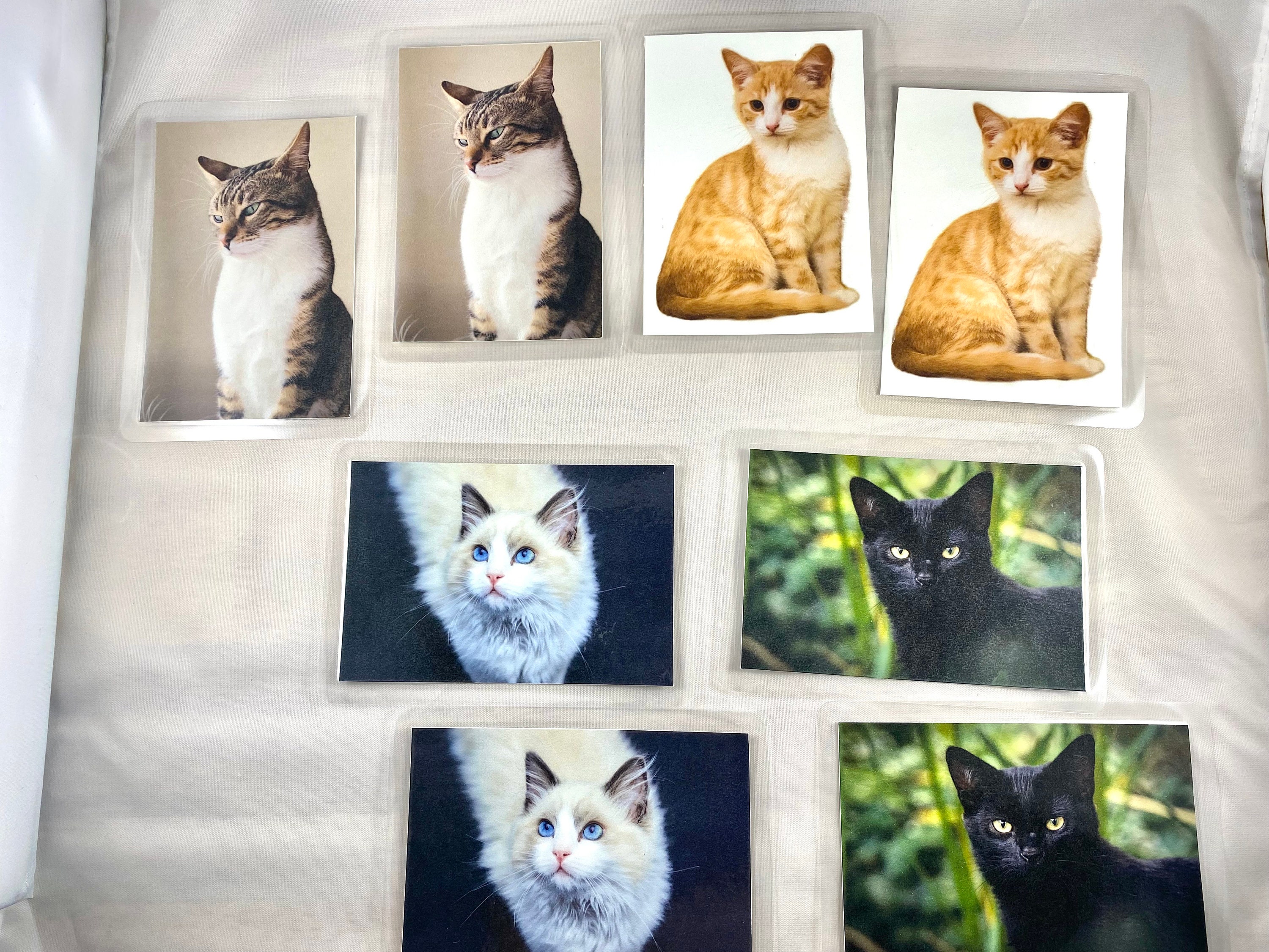 Cat Matching Game - Etsy