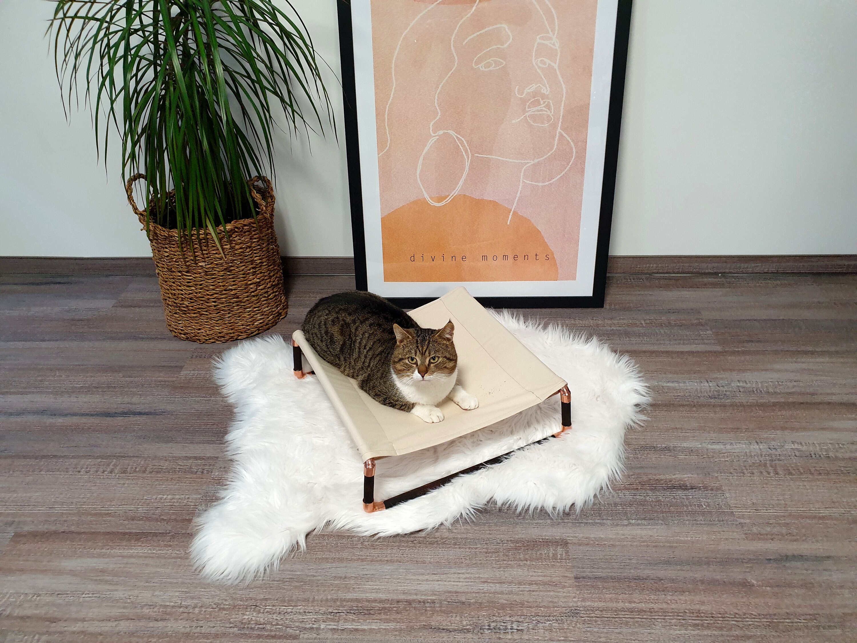 MINIMALIST CAT BED Small Dark Frame Kitten bed Pet bed | Etsy