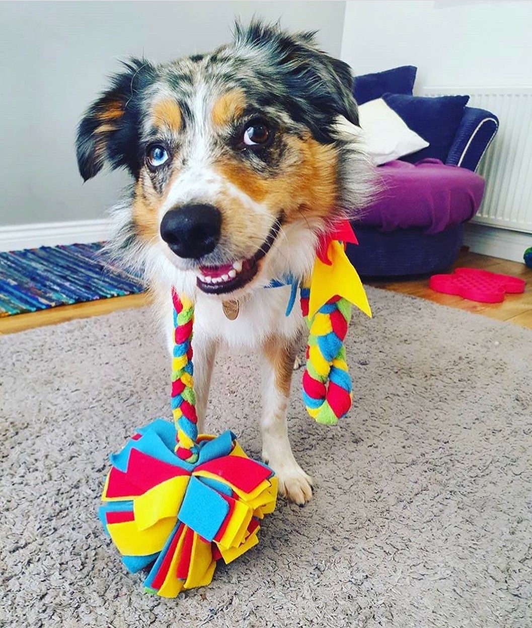 Snuffle Flyball Tug Toy Dog Toy Agility and Flyball | Etsy