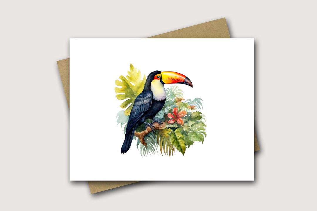 Toucan Note Cards Toucan Cards Bird Notecards Bird Note Cards Bird ...
