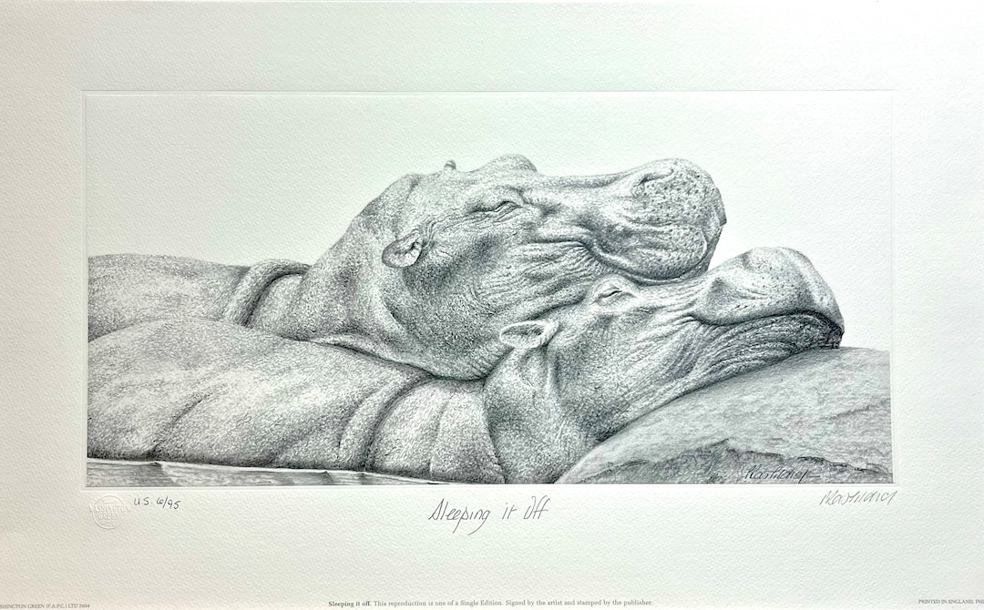 Peter Hildick - "sleeping It Off" - Offset Lithograph - Hand Signed & Numbered - Etsy