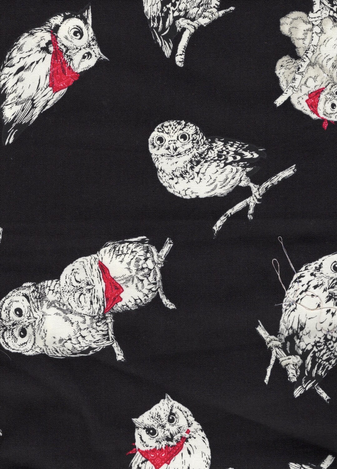 Japanese Fabric - Cosmo Textiles - Owls on Black - 100% Cotton Oxford ...