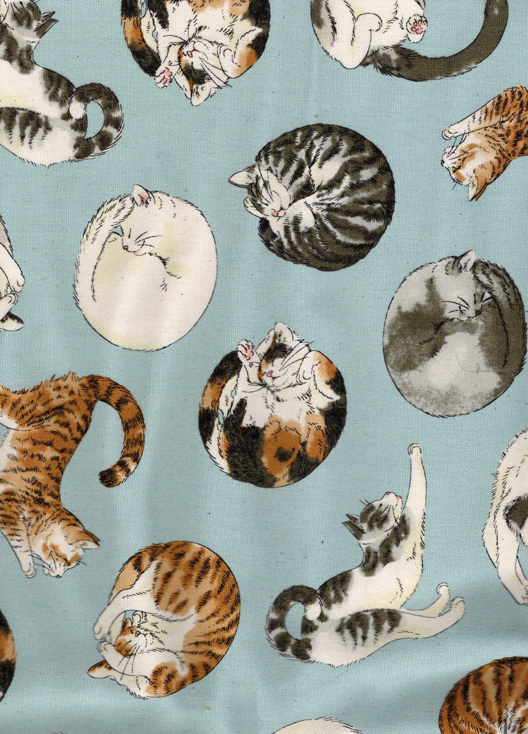 Japanese Fabric - Cosmo Textiles - Drawing by Pencil - Cats on Green ...