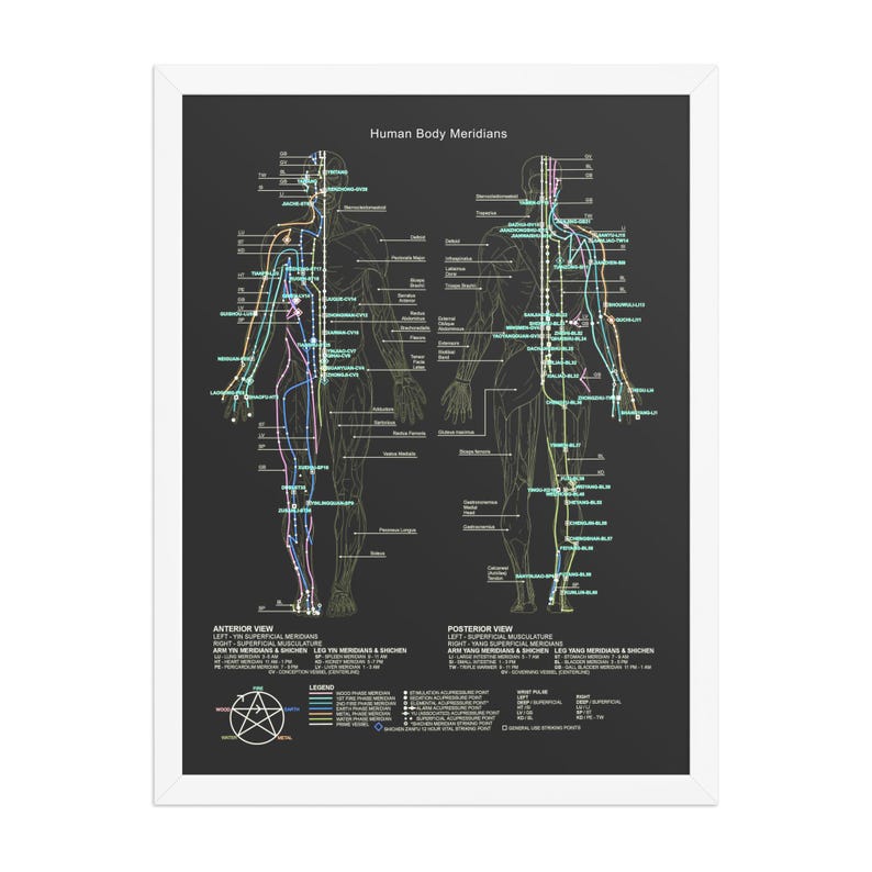 Acupuncture Print, Human Body Meridians, Chinese Medicine Pressure ...
