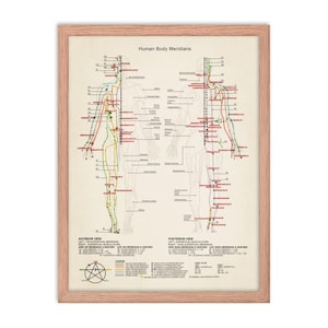 Human Body Meridians and Acupuncture Vintage Print, Pressure Points ...
