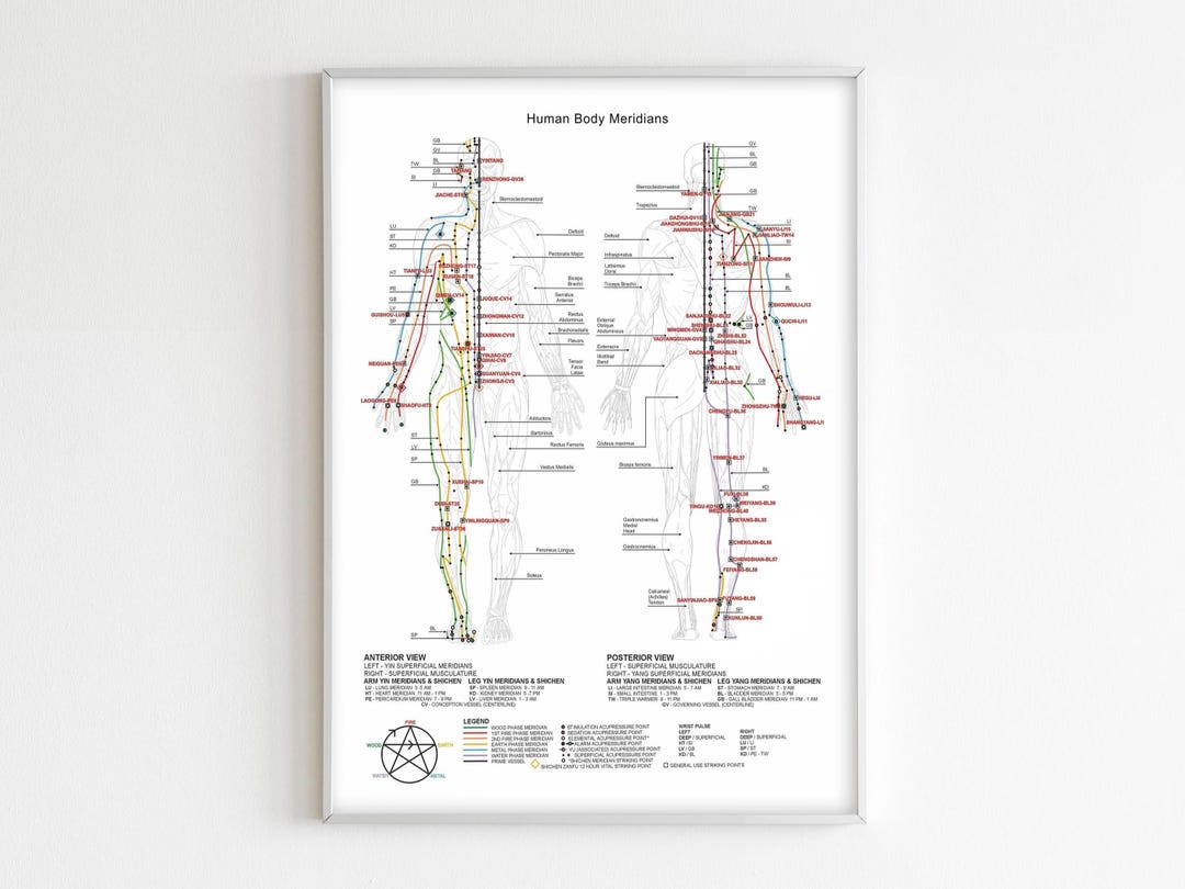 Human Body Meridians and Acupuncture Print, Pressure Points Chart for ...