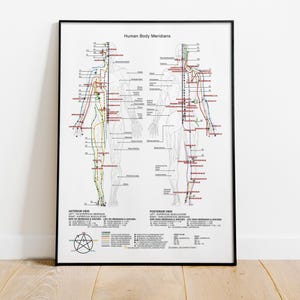 Human Body Meridians and Acupuncture Print, Pressure Points Chart for ...