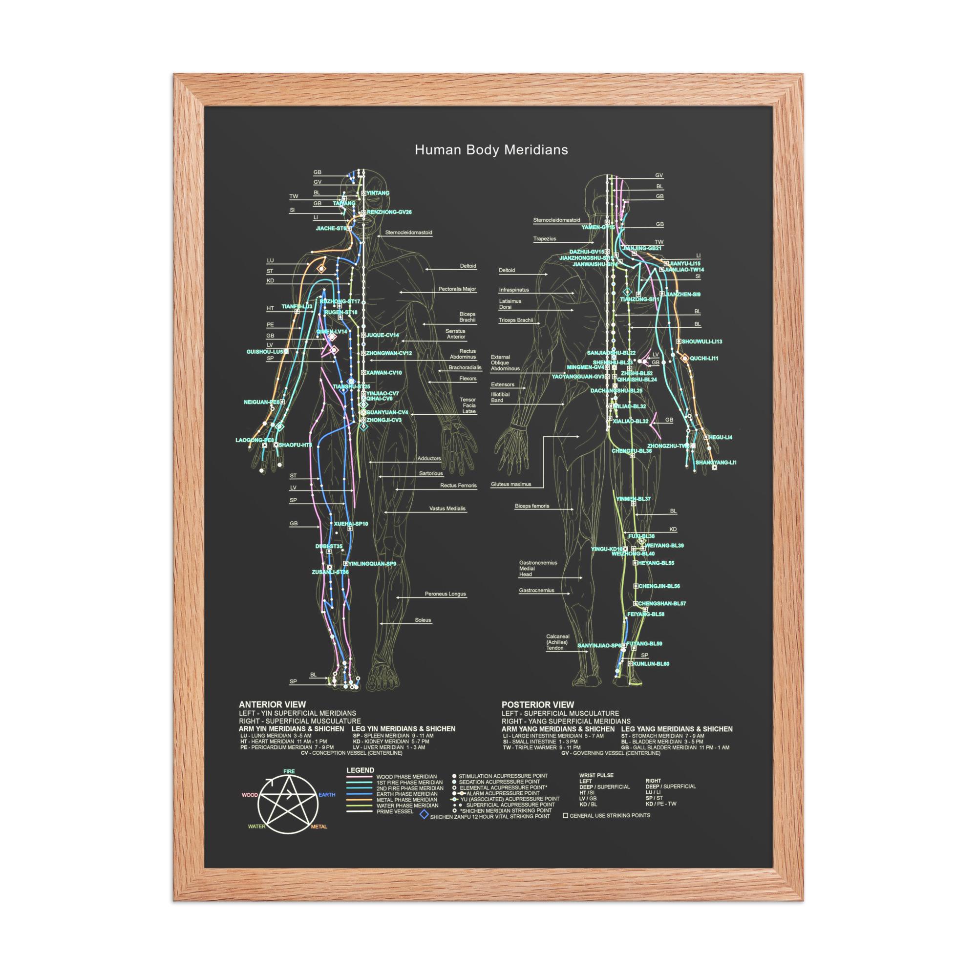 Acupuncture Print, Human Body Meridians, Chinese Medicine Pressure ...