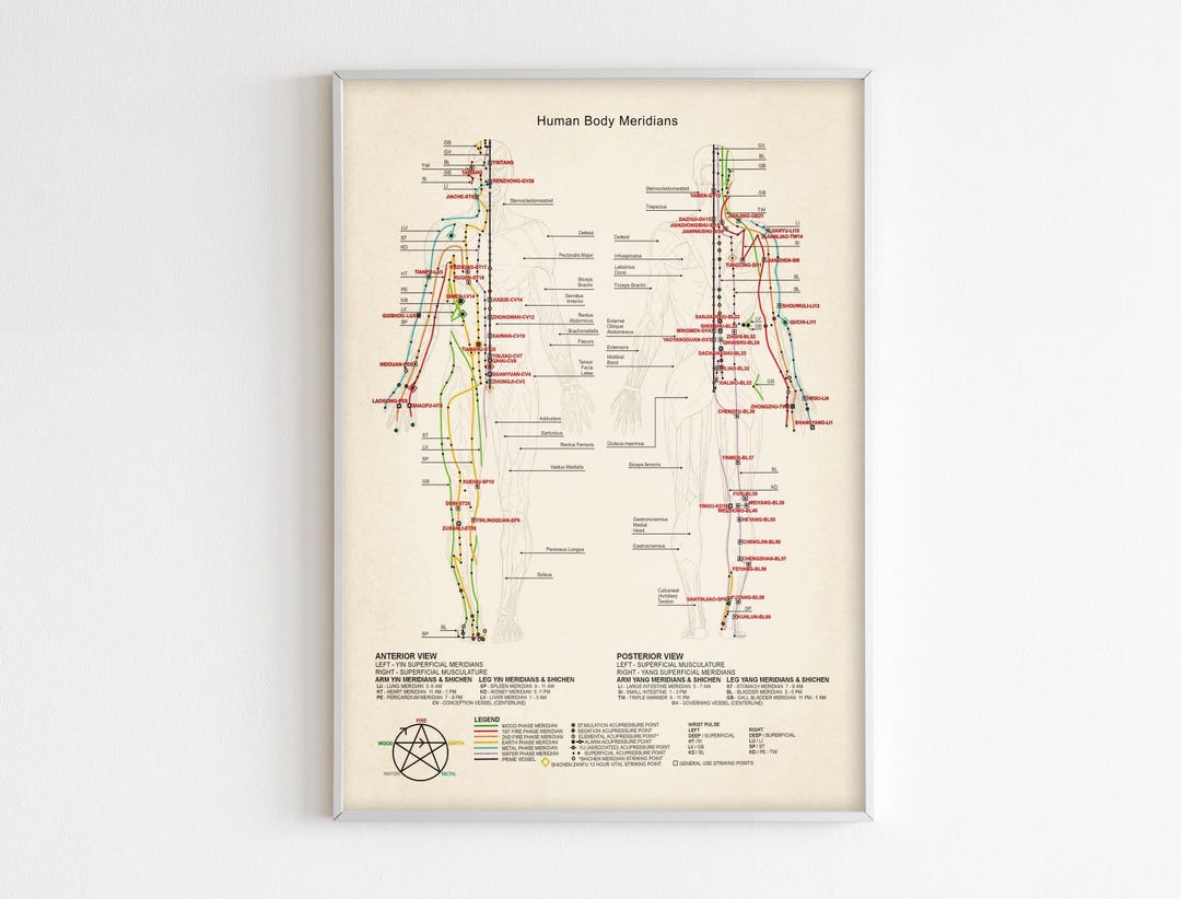 Human Body Meridians and Acupuncture Vintage Print, Pressure Points ...