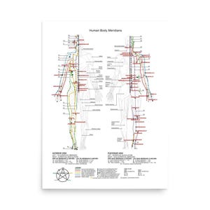 Human Body Meridians and Acupuncture Print, Pressure Points Chart for ...