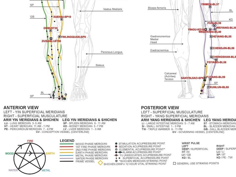 Acupuncture Points Print: Human Body Meridians Chart, Chinese Medicine ...