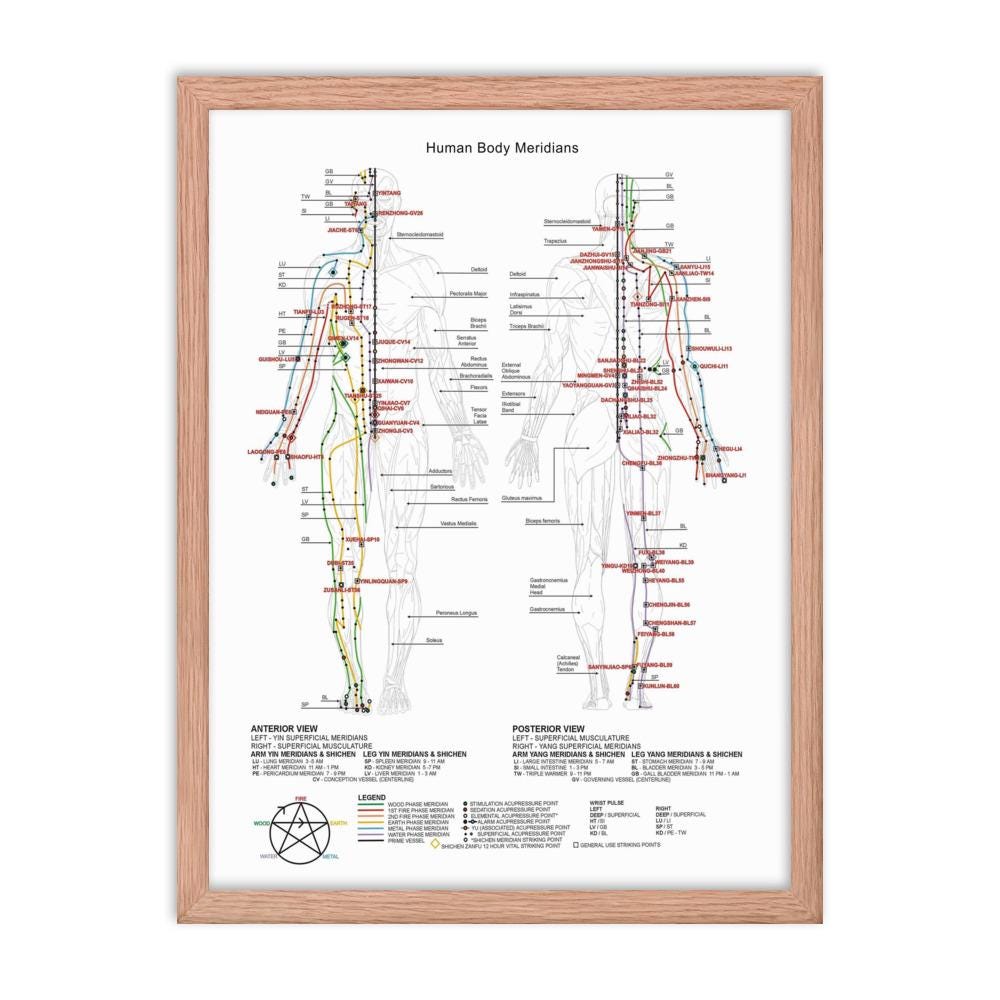 Acupuncture Points Print: Human Body Meridians Chart, Chinese Medicine ...
