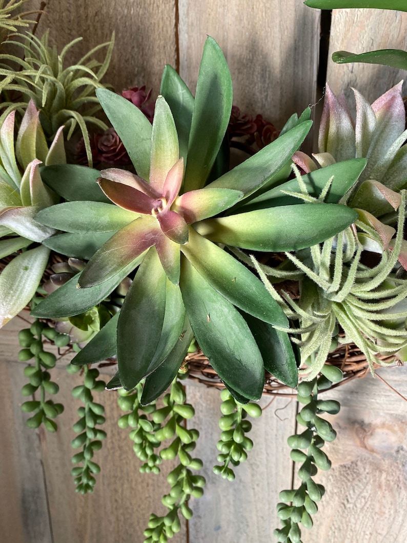 Grapevine Succulent Welcome Wreath. Quality Faux Succulents ...
