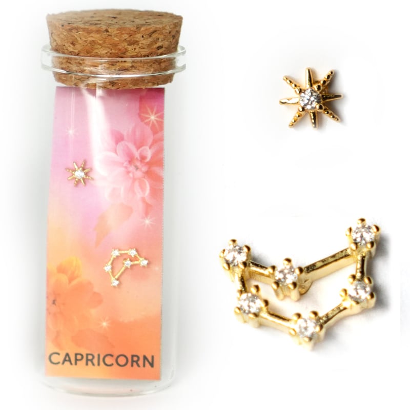 Capricorn Earrings - Etsy