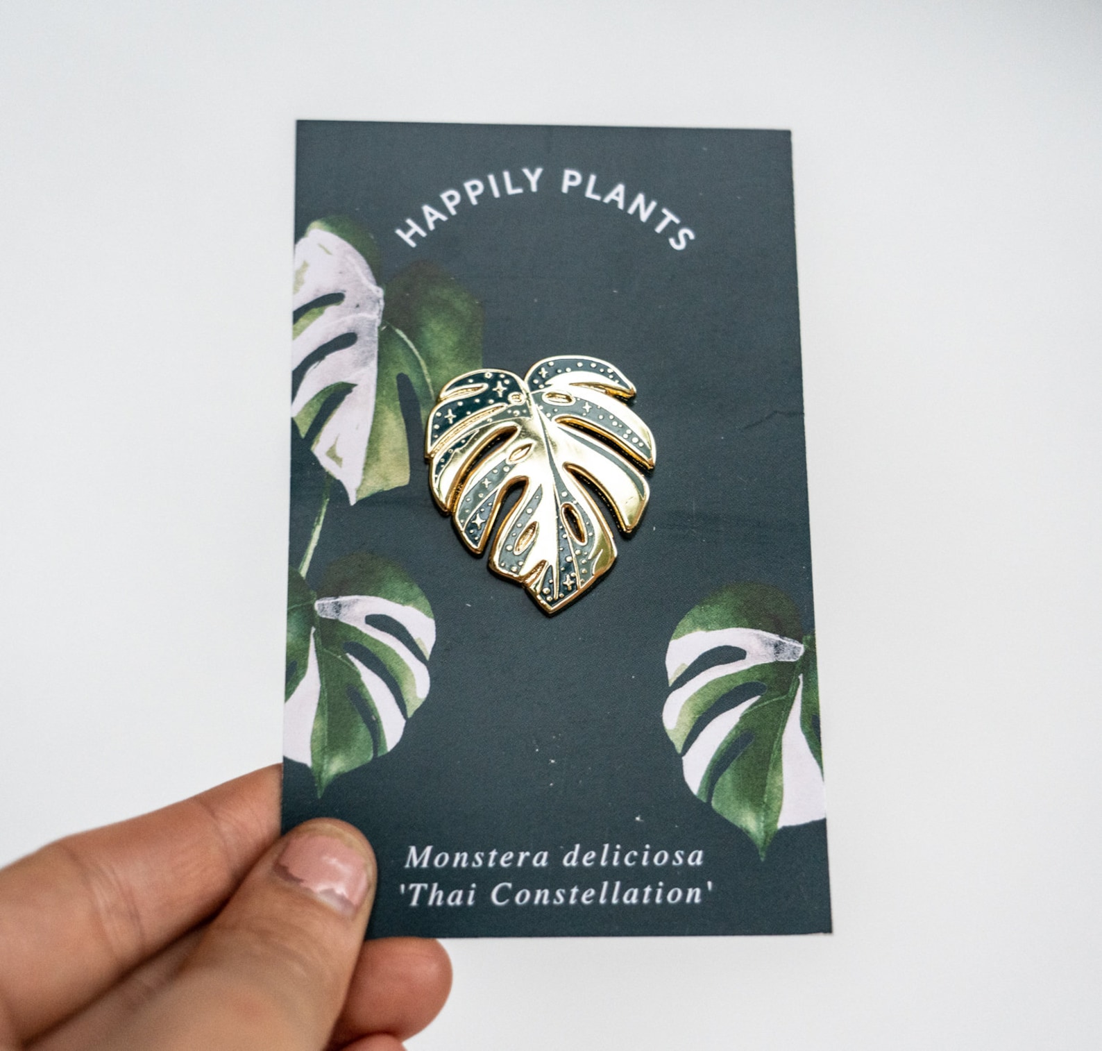 Variegated Monstera Thai Constellation Lapel Pin Plant Ts Etsy