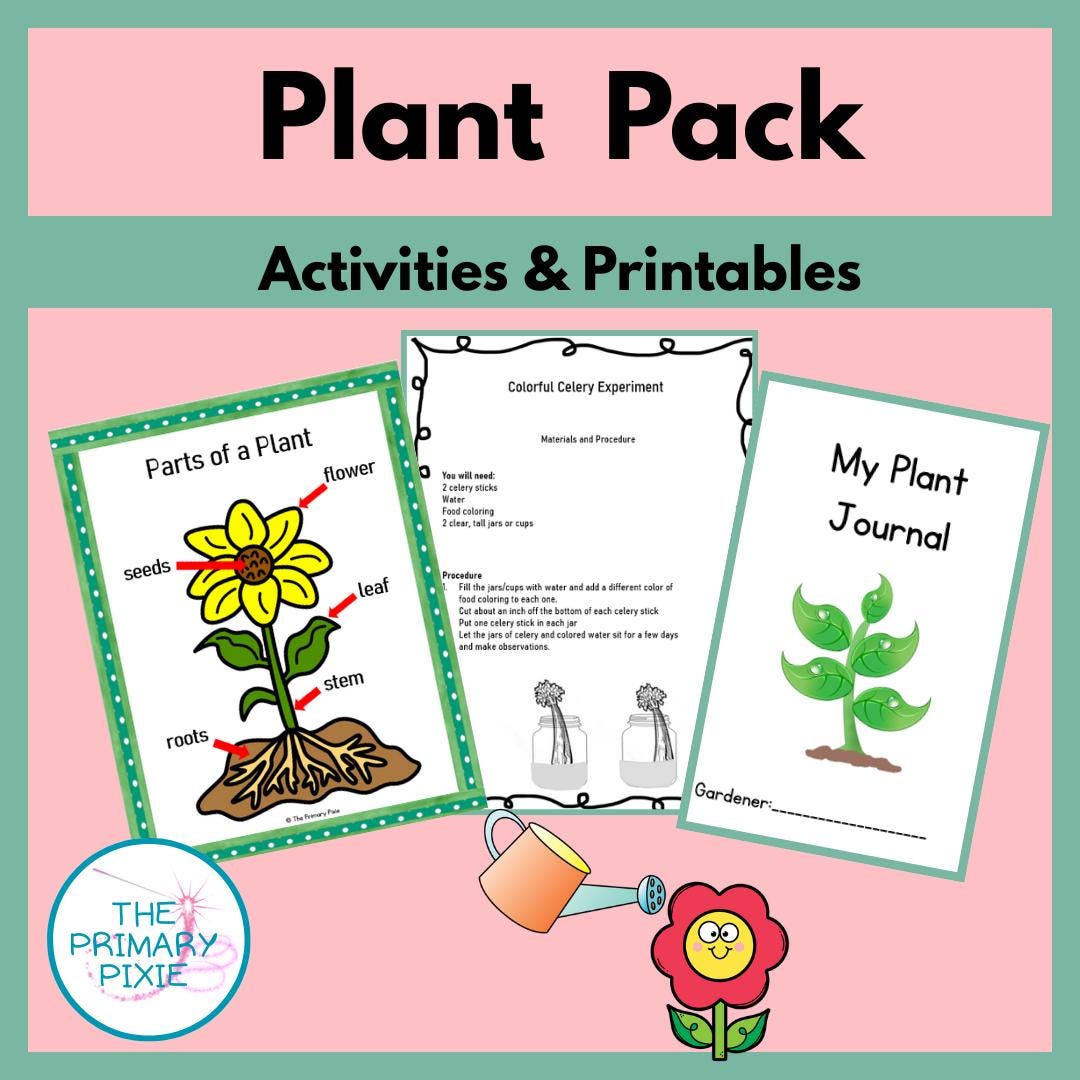 Plant Activities & Printables Pack - Etsy