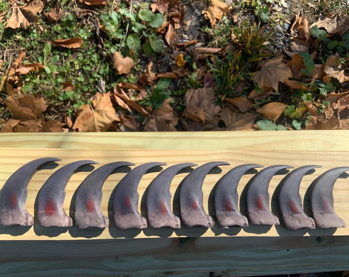 Package of 30 Very Nice Extra Large Kansas BOBCAT CLAWS 2085 - Etsy